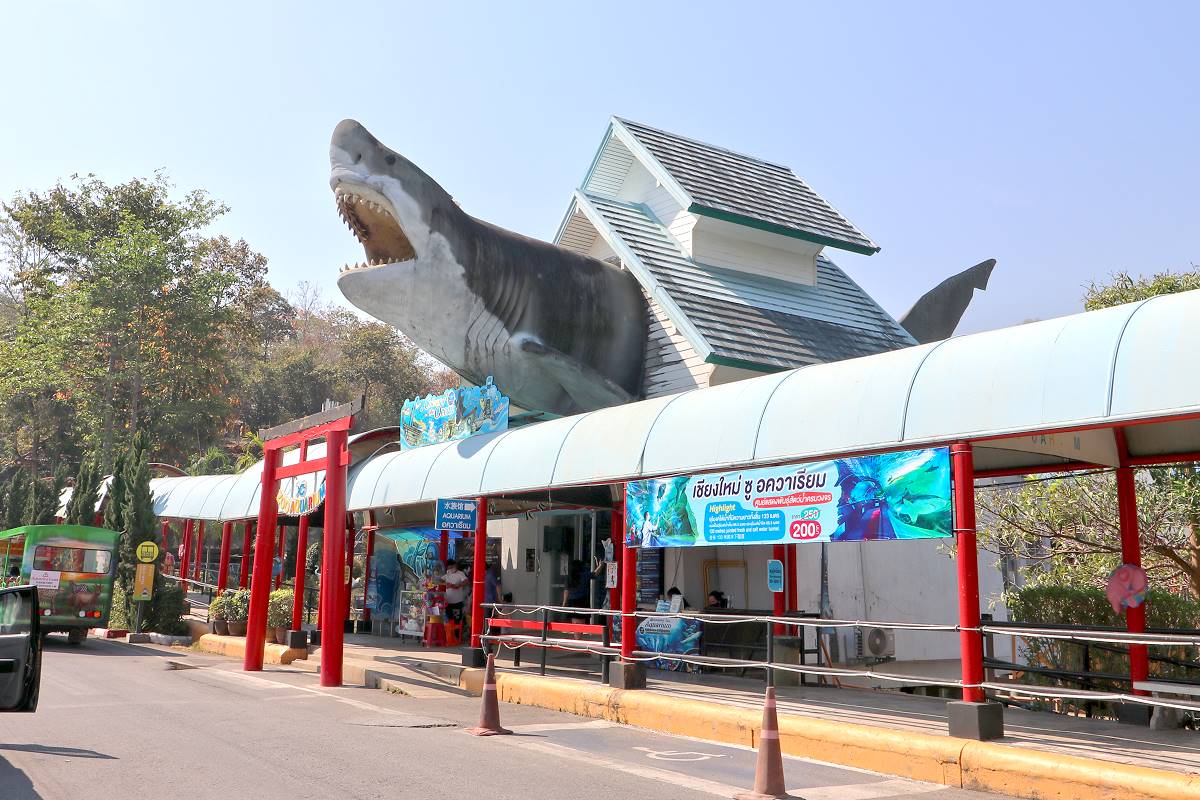 Zoo Chiang Mai - Zoologischer Garten mit Panda Bären und Aquarium