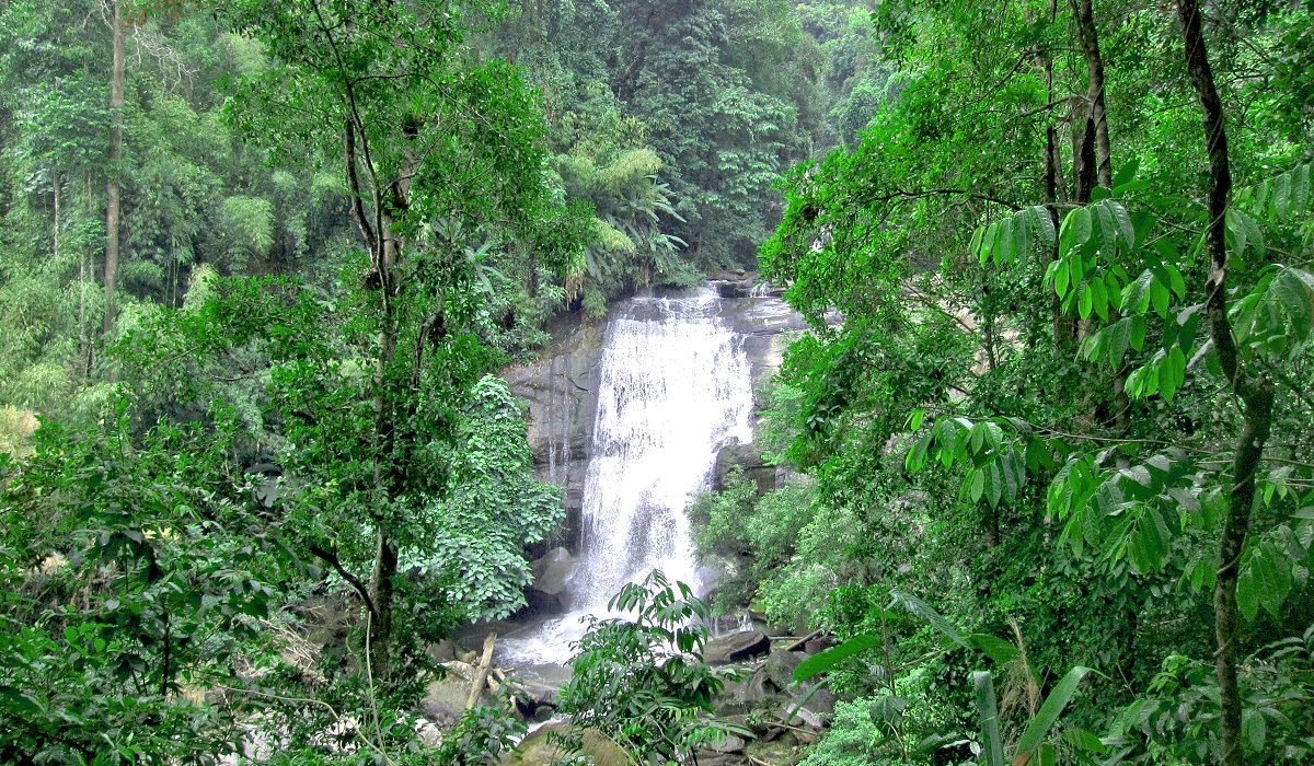 Doi Inthanon Nationalpark - Höchster Berg in Thailand